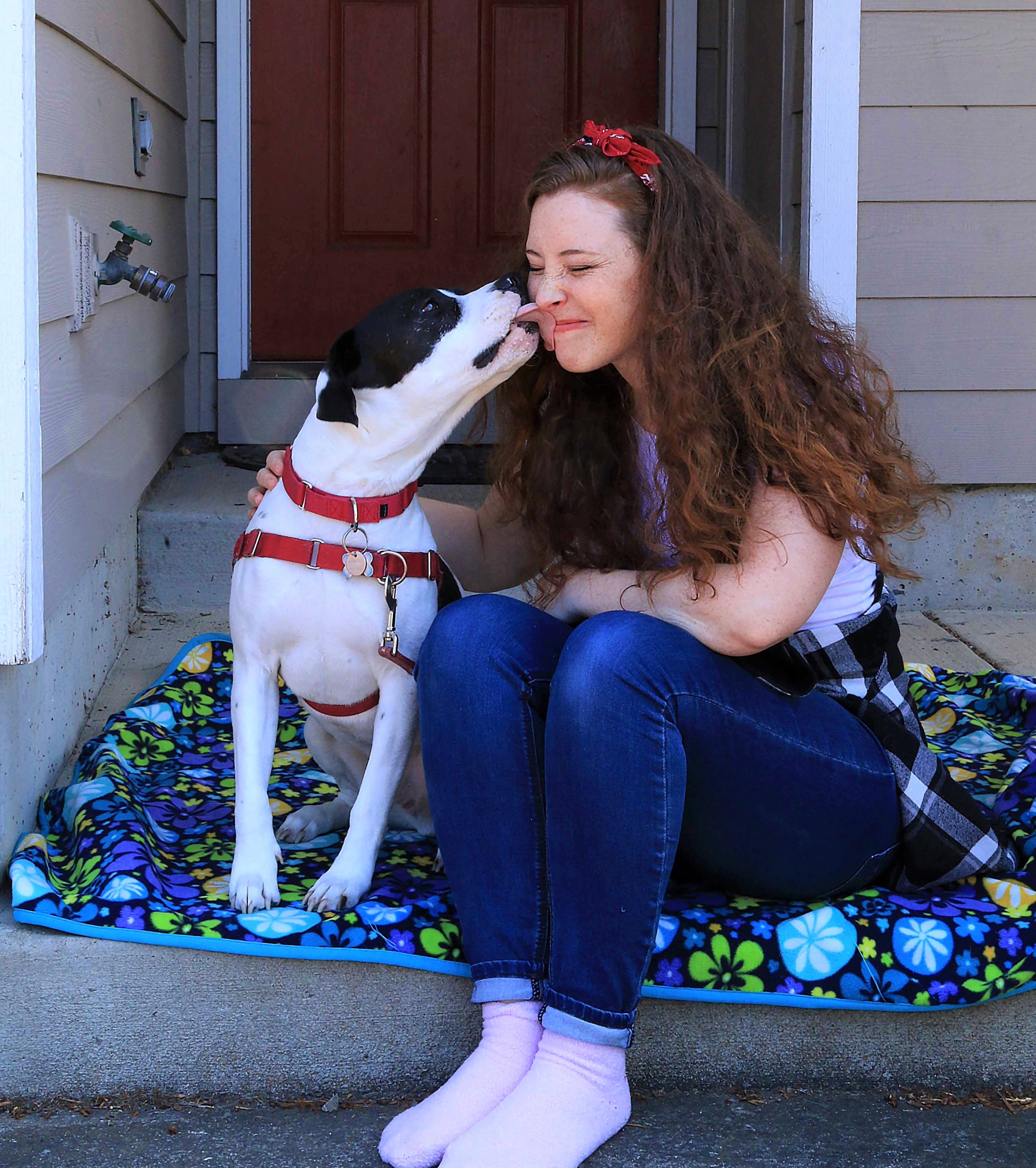 Meet the team – Bandito the Puppito Dreams of a Home